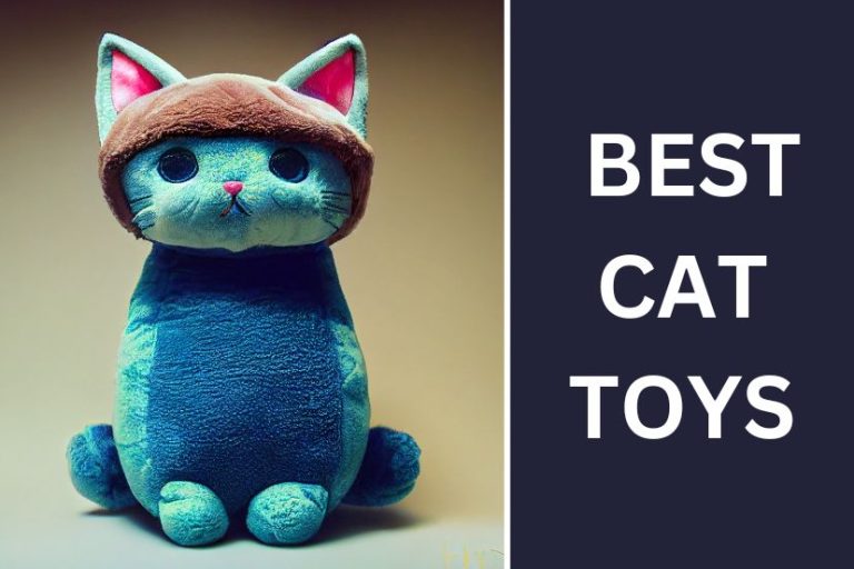30 Best Cat Toys for Kids - ParentsLists